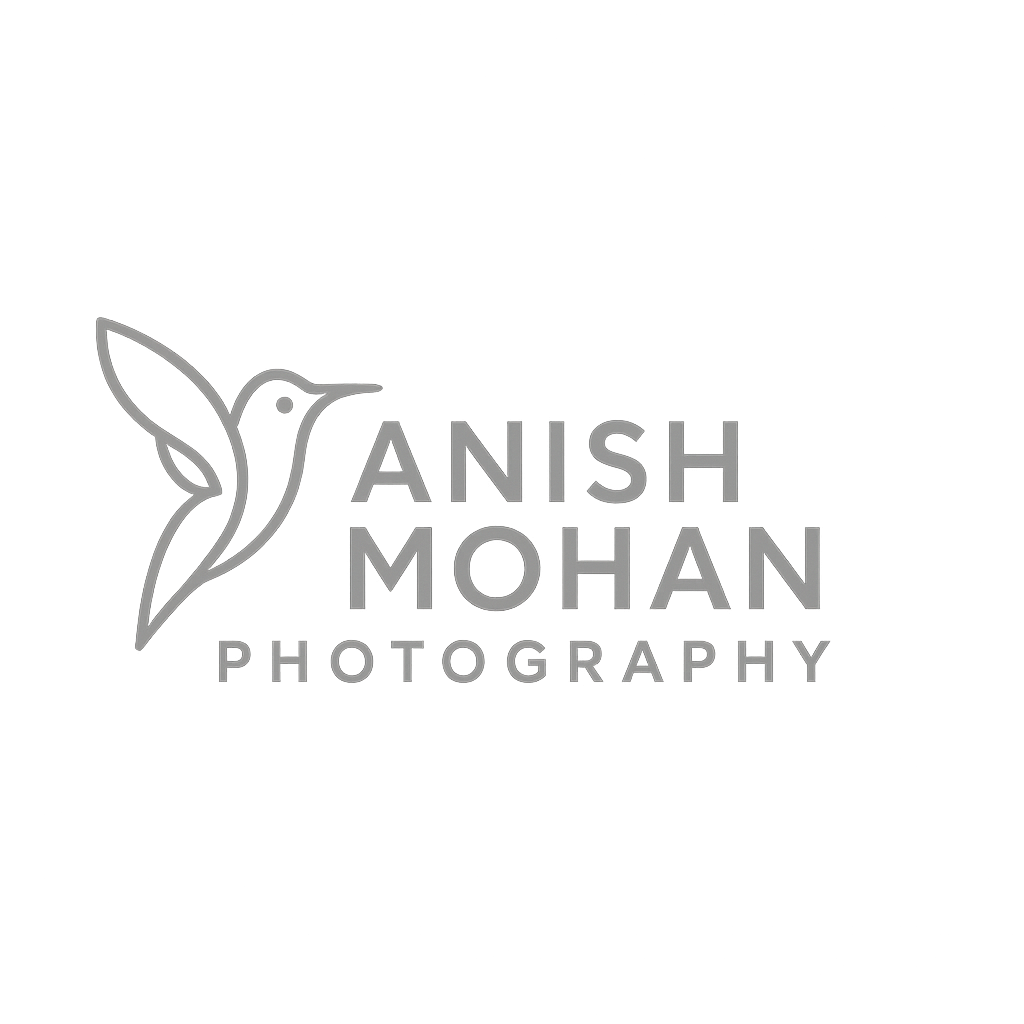Anish Mohan Photography